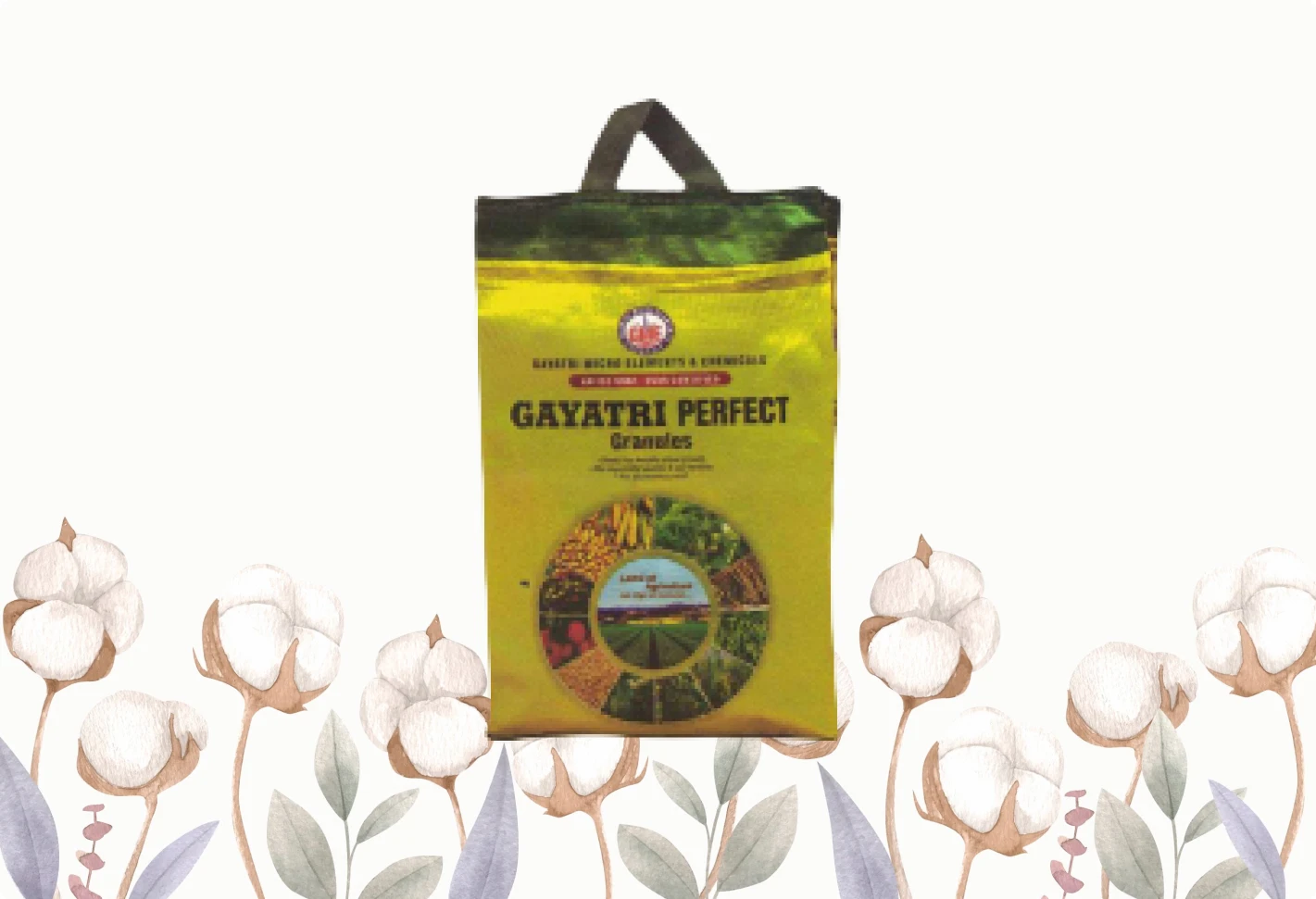 Home - Gayatri Agro